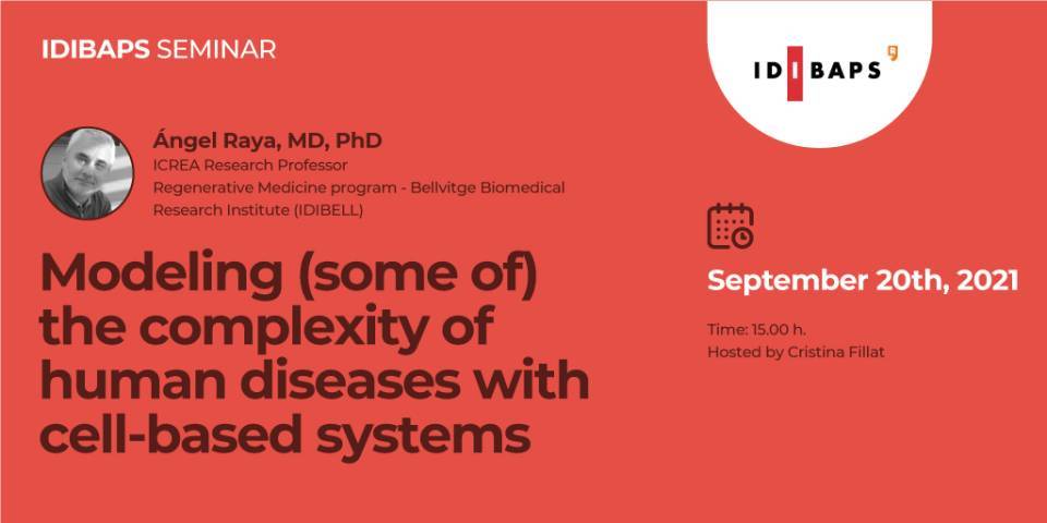 Modeling (some of) the complexity of human diseases with cell-based systems