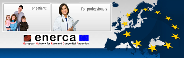 ENERCA will pioneer the design of e-Health tools in rare anaemias for ...