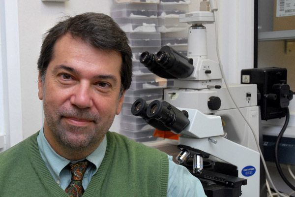 Pedro Alonso, New Director of the WHO’s Global Malaria Programme ...