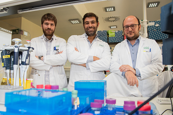 Tres investigadors del Clínic-IDIBAPS reben una beca de la SEOM ...