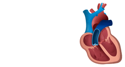 Valvulopatías | ¿Qué son las Valvulopatías? | PortalCLÍNIC