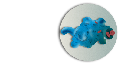 Treatment of Amebiasis | PortalClínic