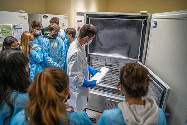 Nearly 250 students take part in the IDIBAPS science workshops for ...