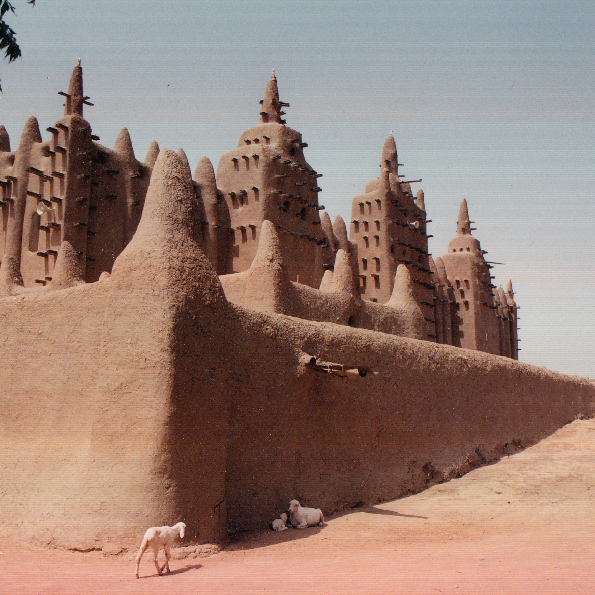 Mali | Hospital Clínic Barcelona