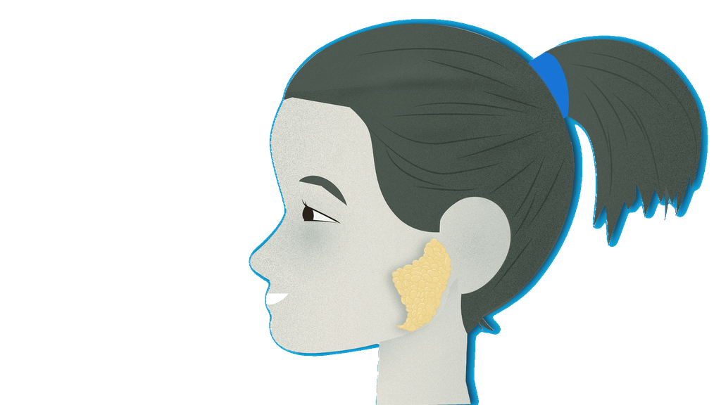 Tratamiento del Tumor de Parótida en el Clínic | Hospital Clínic Barcelona