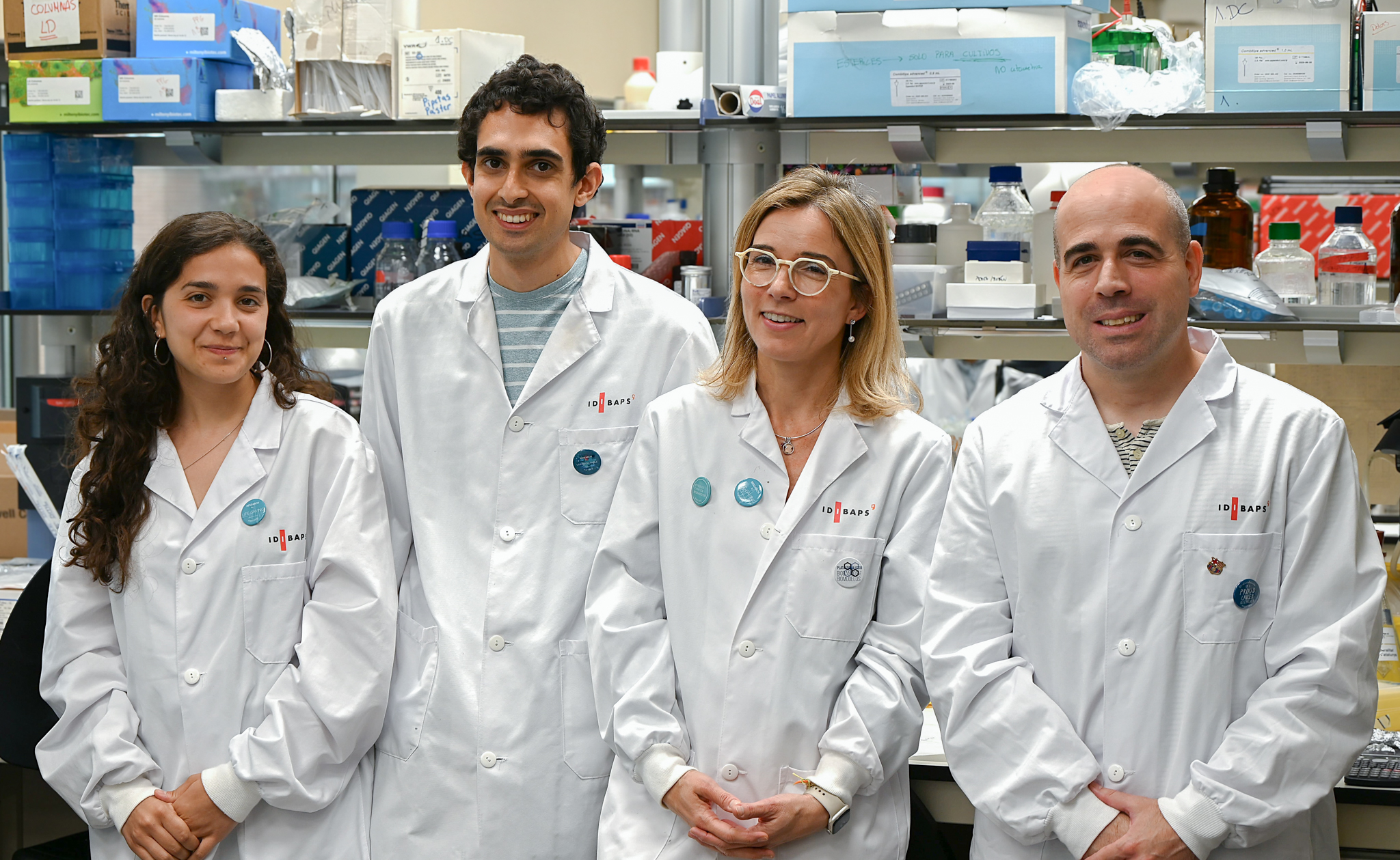 A new 3D model is developed to simulate the tumour microenvironment of ...