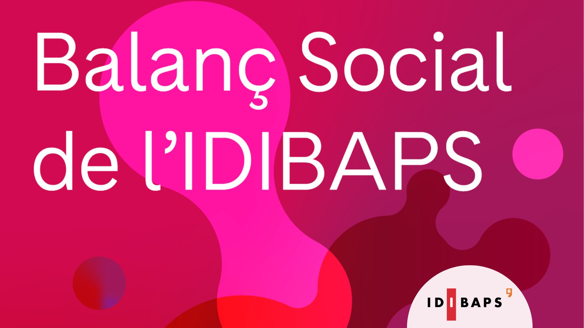 The 2024 IDIBAPS social report is published
