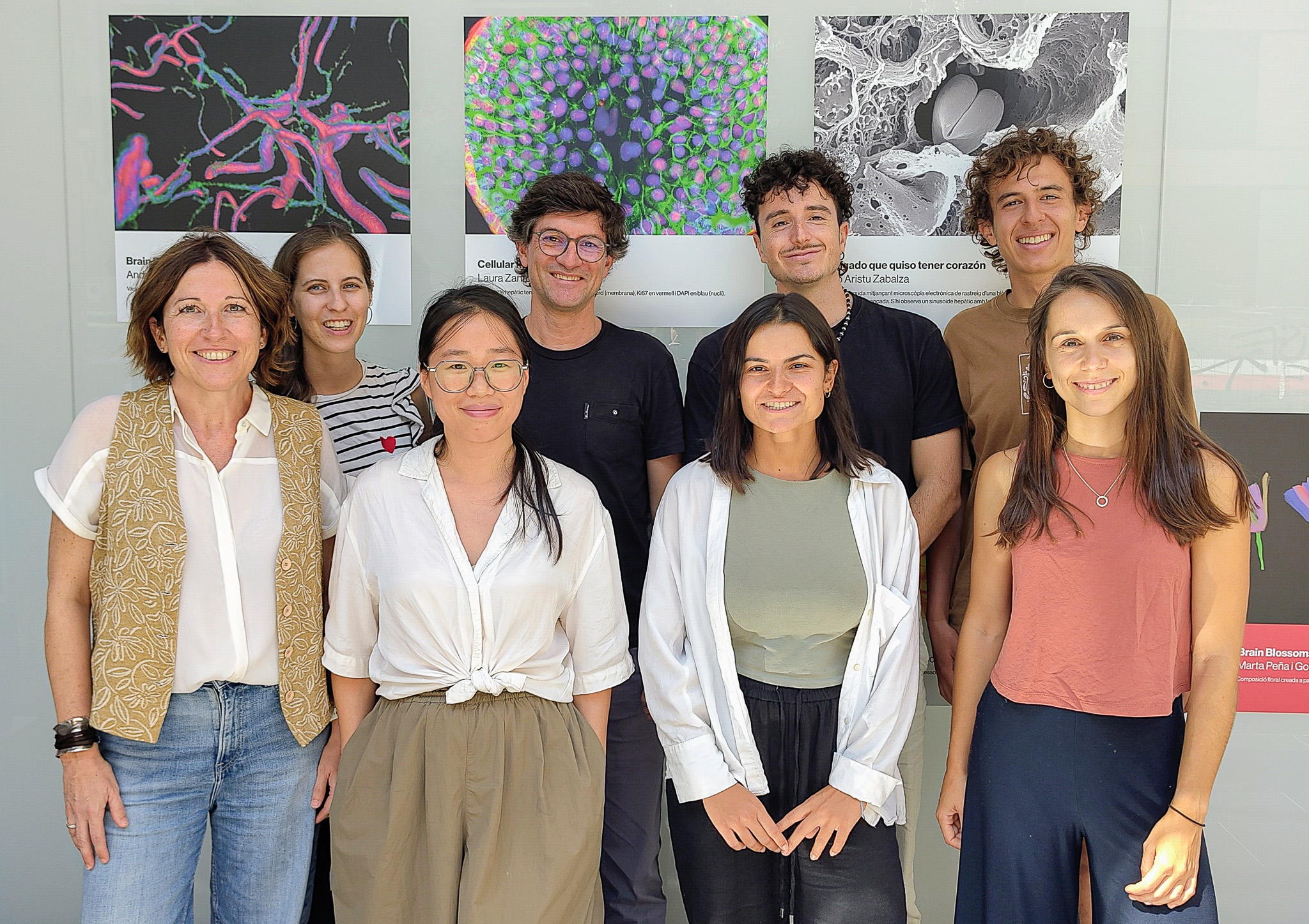 Liver organoids obtained from biopsies enable advances in personalised ...