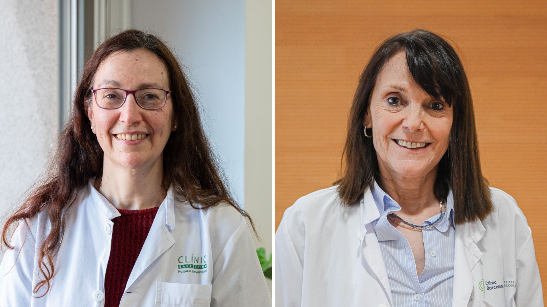 Inmaculada Baeza takes over from Josefina Castro-Fornieles as head of ...